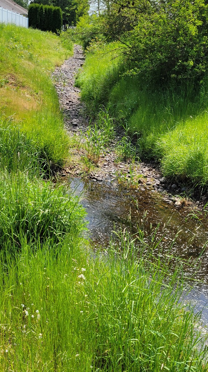 To the last drop – Pierce Prairie Post