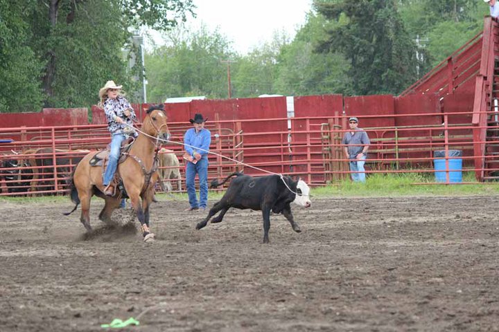 Sept. 2 & 3, Roy Pioneer Rodeo – Pierce Prairie Post
