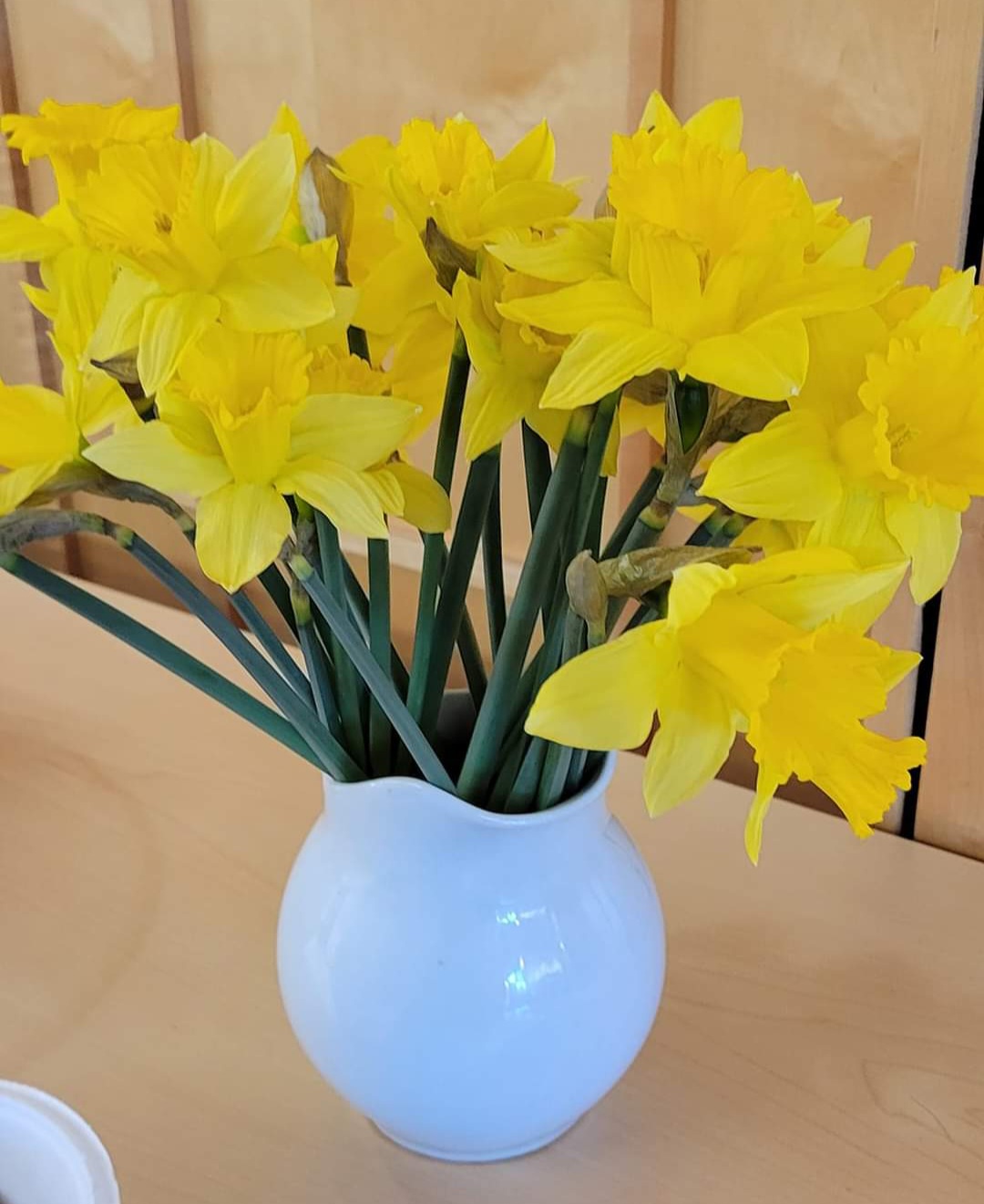 Saturday, April 6, Daffodil Parade – Pierce Prairie Post