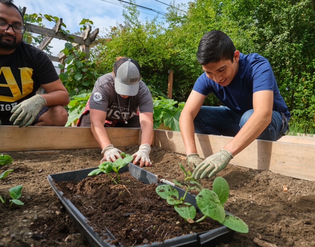 Aug 2 PLU Community Garden Work Party – Pierce Prairie Post