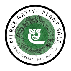 Pierce Native Plants Presale begins Nov 1 – Pierce Prairie Post