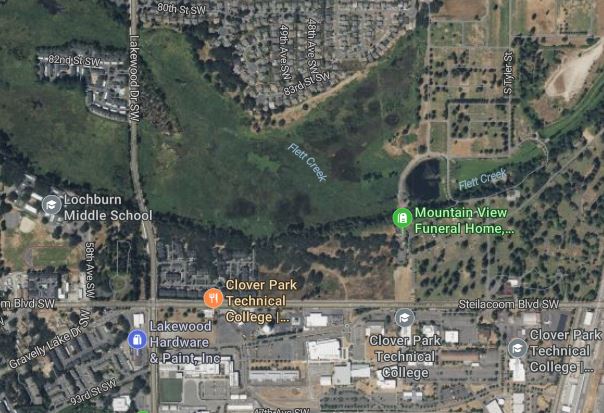 Jan 24 Flett Creek Stewardship – Pierce Prairie Post